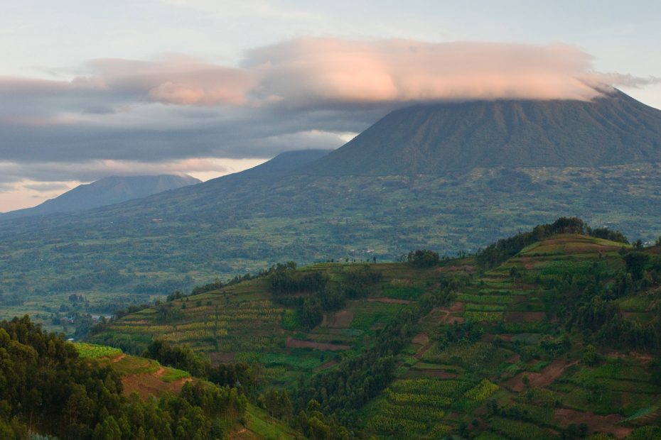 Global Youth Biodiversity Network voice must be heard for the ...